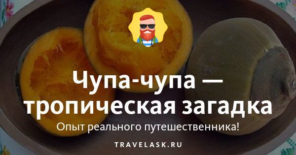 Чупа-чупа (матизия) - что это: фото, польза и вред, калорийность ...
