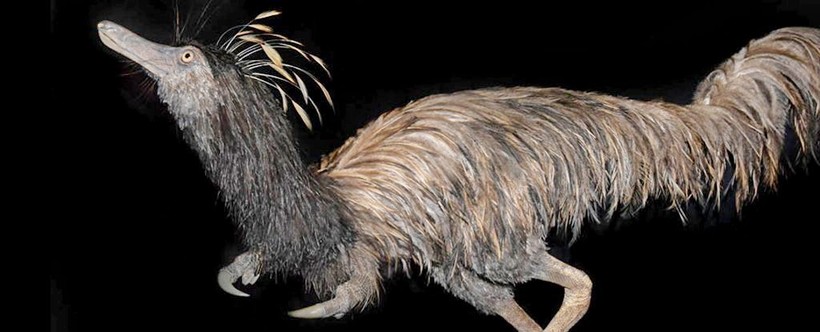 В Северной Америке обнаружили странного динозавра с крючками вместо лап