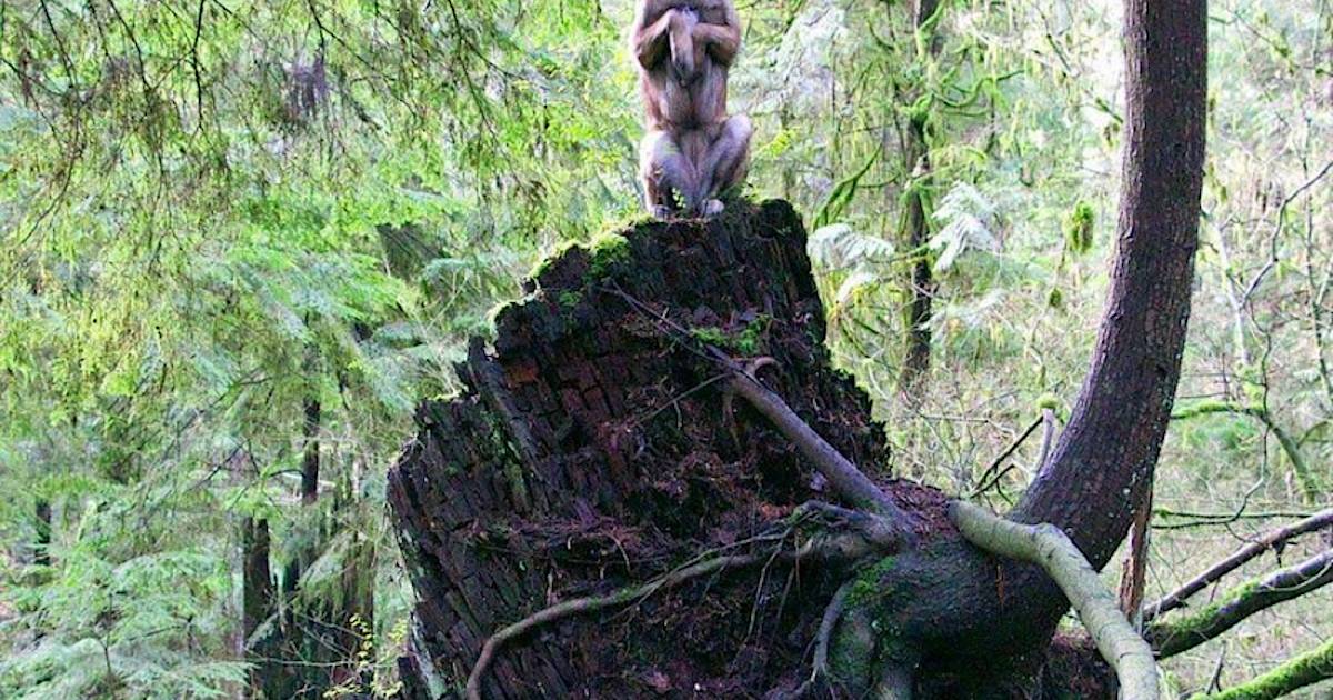 Фото дня: в ожидании