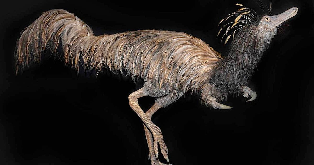 В Северной Америке обнаружили странного динозавра с крючками вместо лап