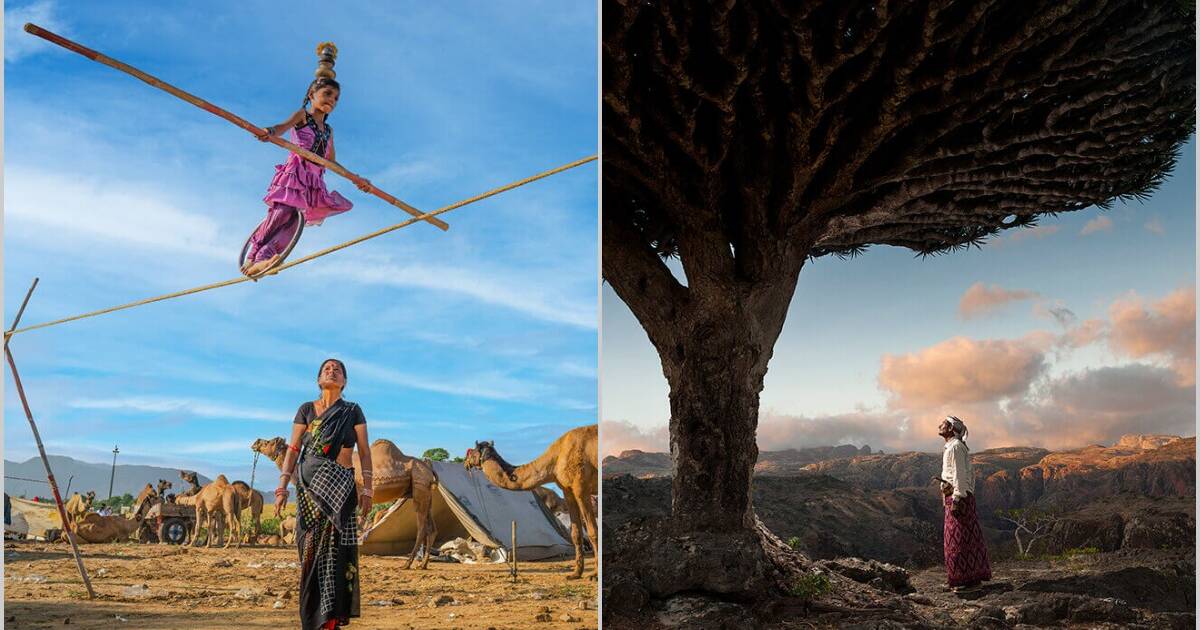 14 победителей All About Photo Awards 2024 показали красоту и всю боль ...